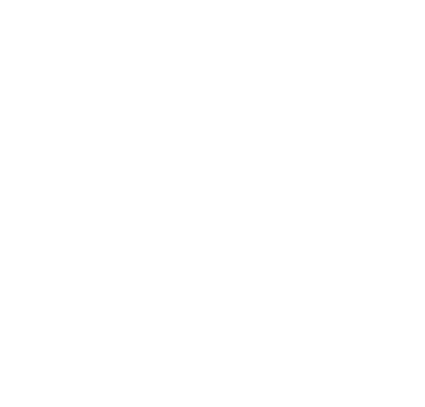 Plus de 65 ans de savoir-faire - Dassé